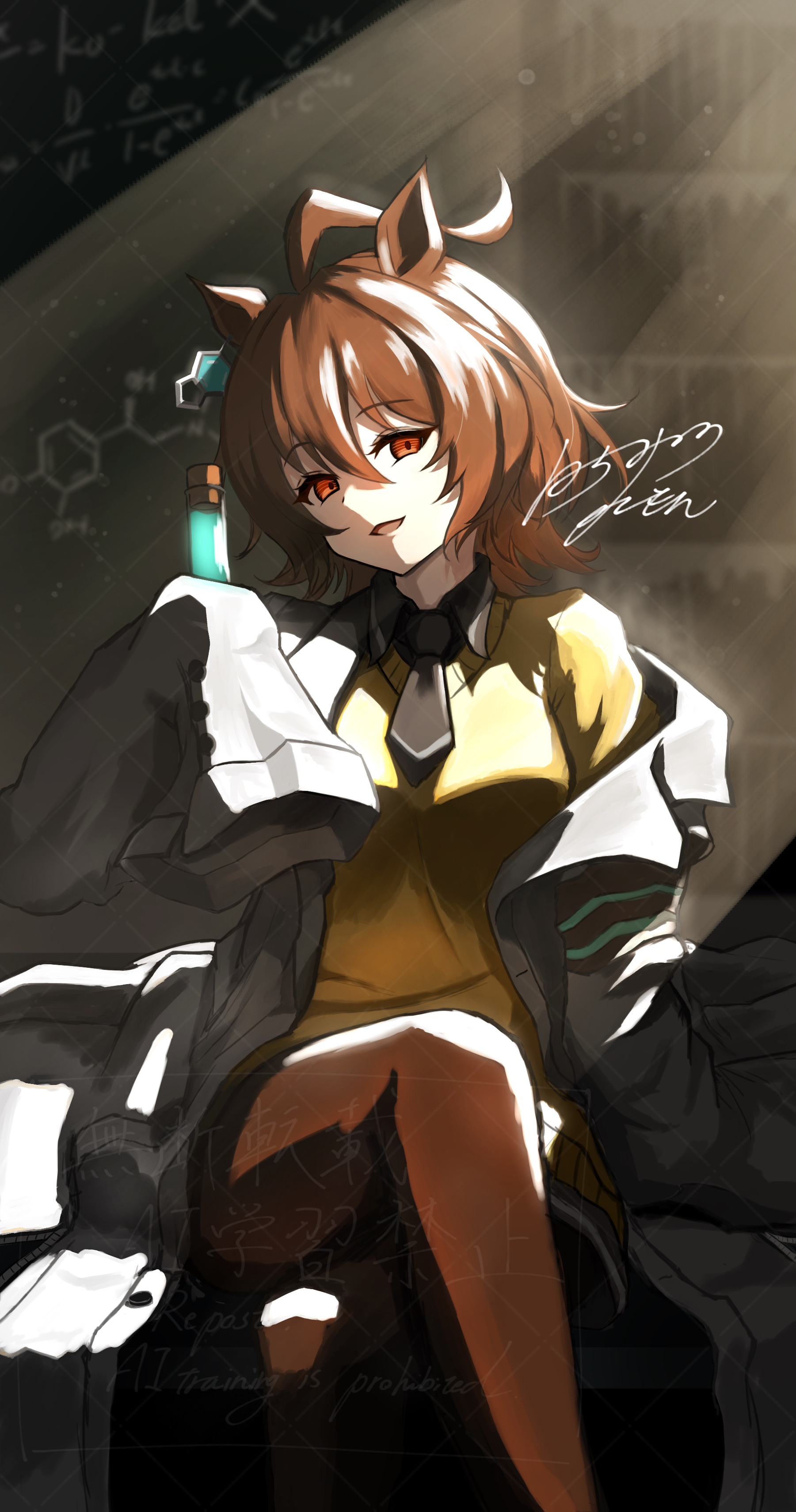 Hachimii Flash Agnes Tachyon Umamusume Umamusume Absurdres