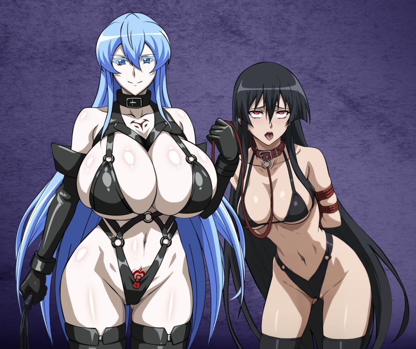 yxyyxy, akame (akame ga kill!), esdeath, akame ga kill!, highres, 2girls, ahegao, bdsm, black ...
